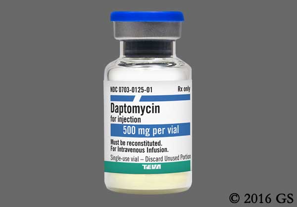 Daptomycin (Injection, Powder, for Solution) - RefillWise
